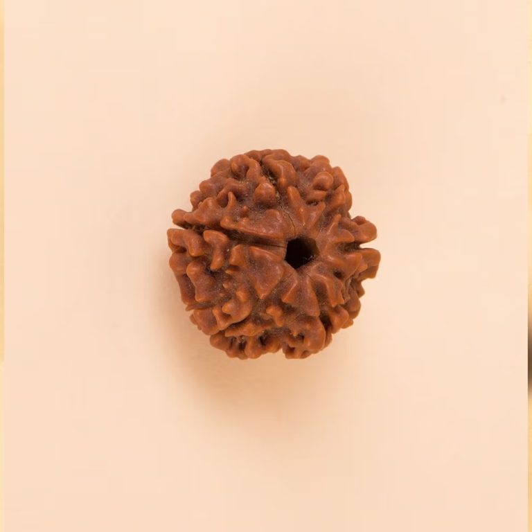 Authentic Isha Shanmukhi (six faced) Rudraksha Bead